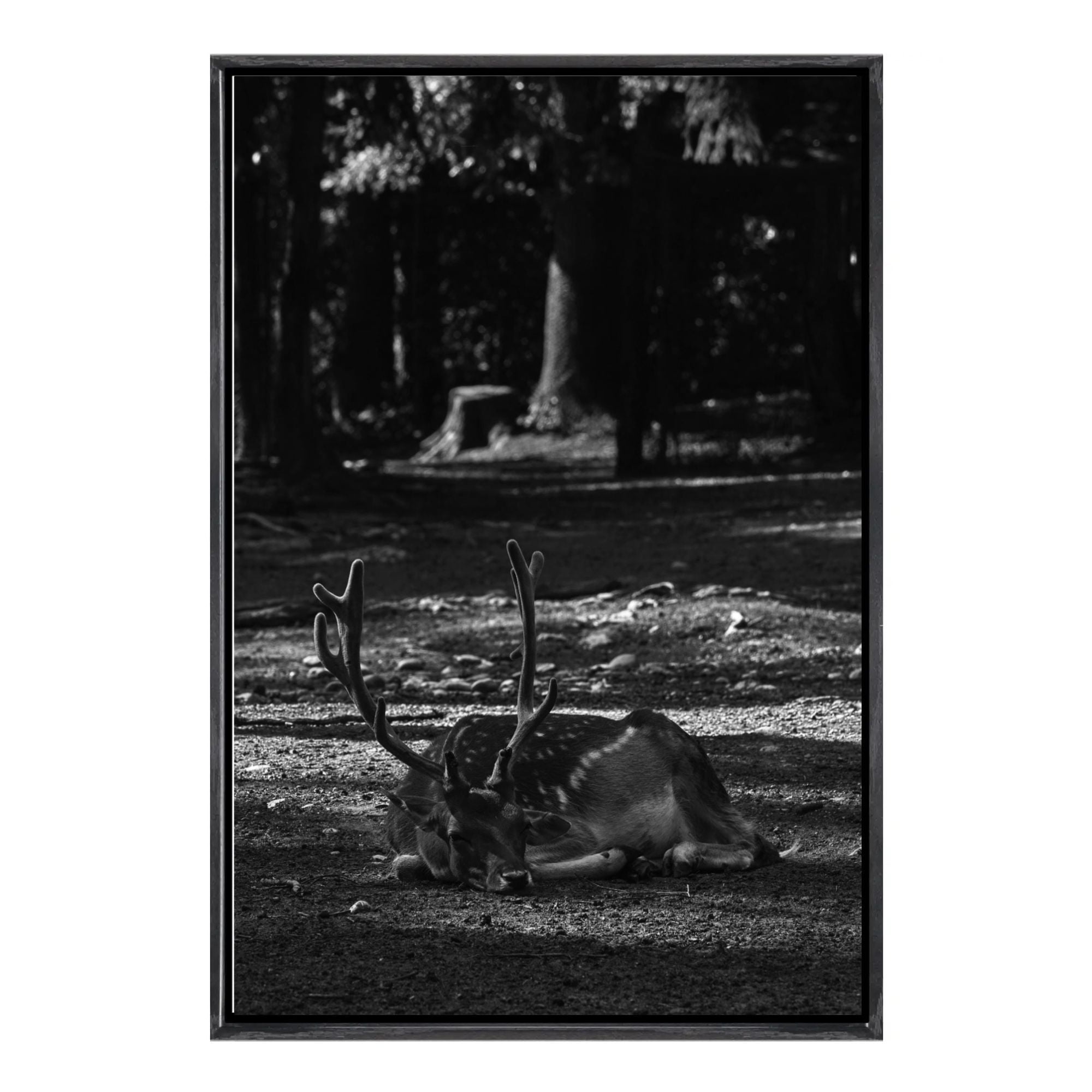 Deer Double Canvas Framed Wall Art Rustic Woodland Animal Print Nordic ...