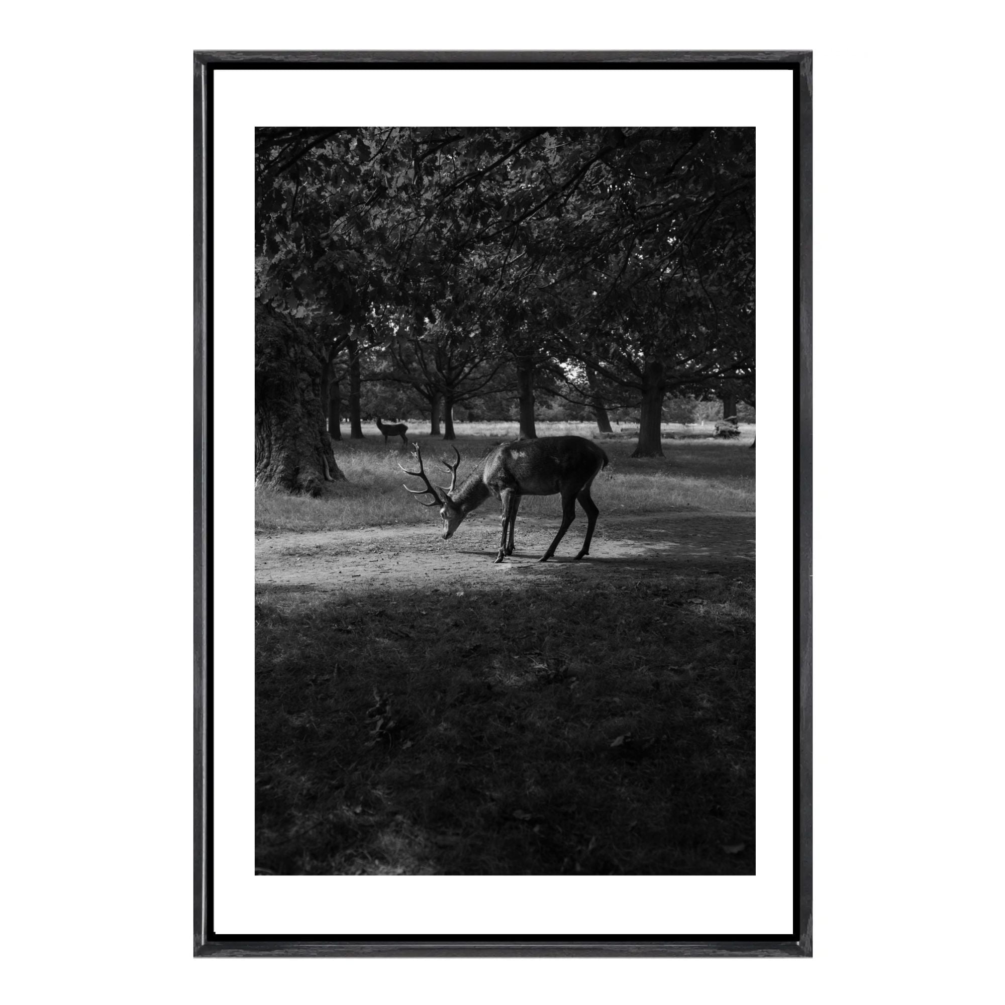 Deer Canvas Framed Wall Art Rustic Woodland Animal Print Nordic Nature ...