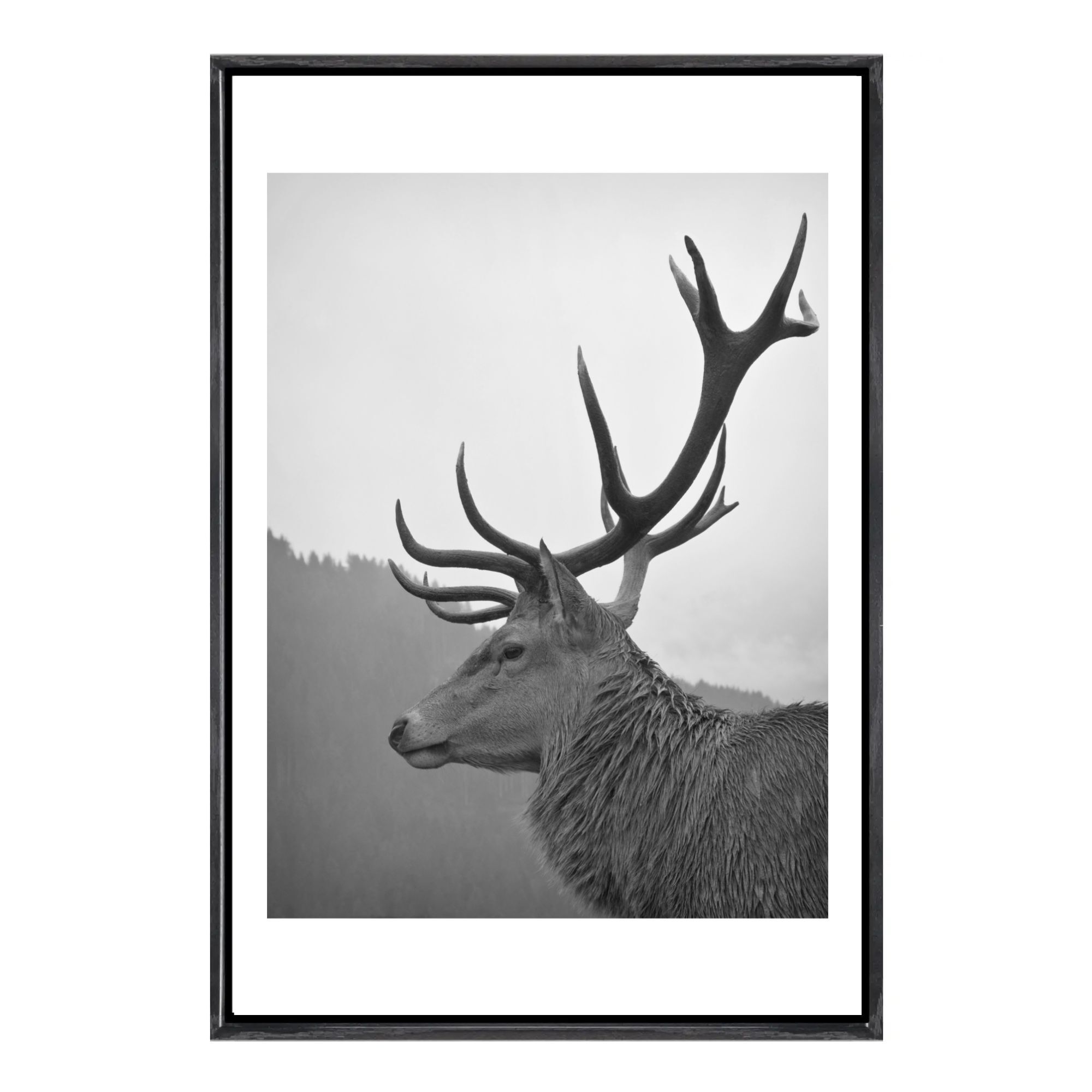 Deer Double Canvas Framed Wall Art Rustic Woodland Animal Print Nordic ...