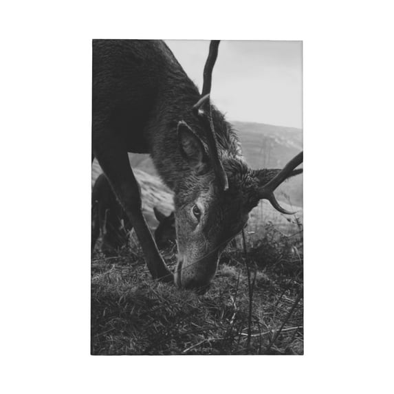 Deer Double Canvas Framed Wall Art Rustic Woodland Animal Print Nordic ...