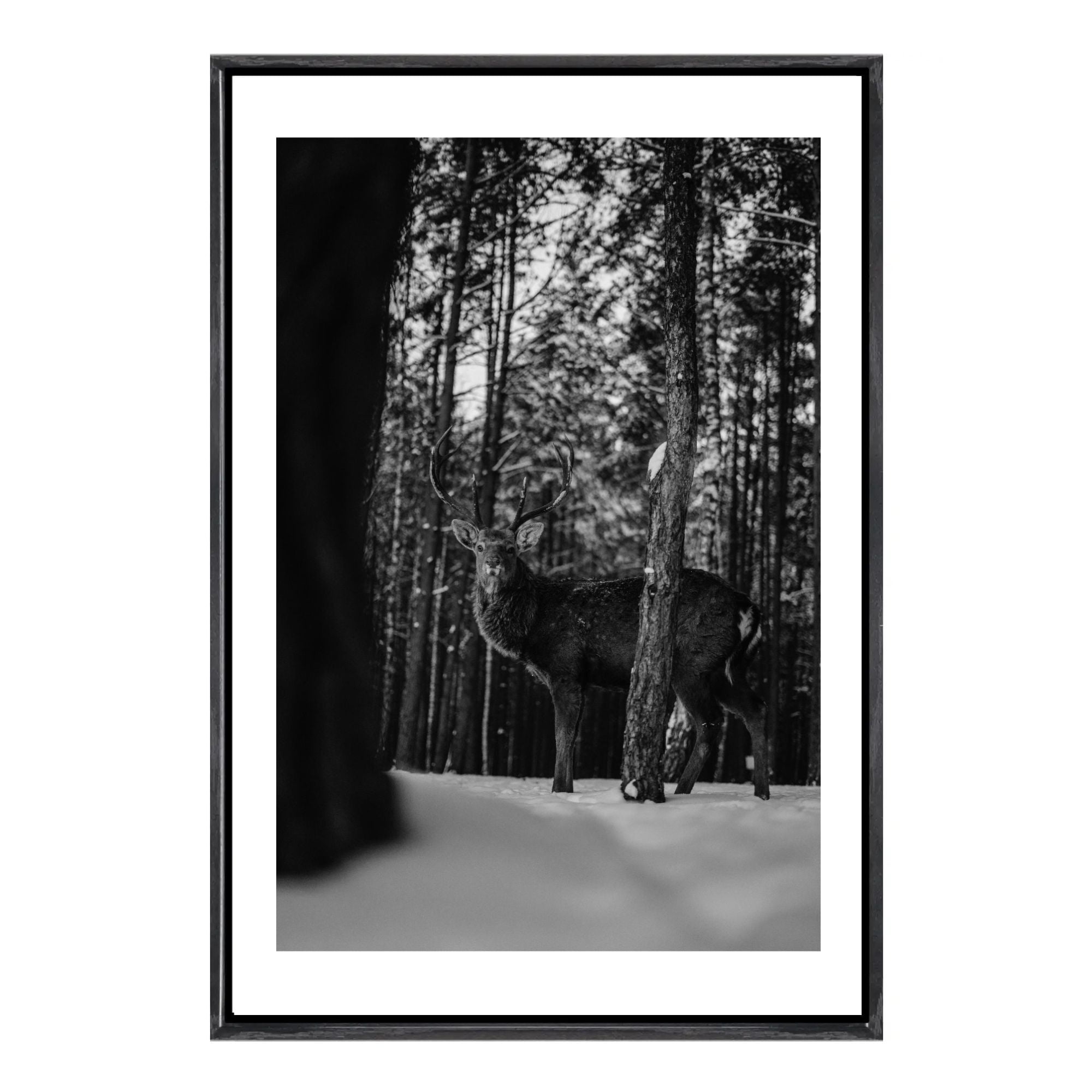 Deer Double Canvas Framed Wall Art Rustic Woodland Animal Print Nordic ...