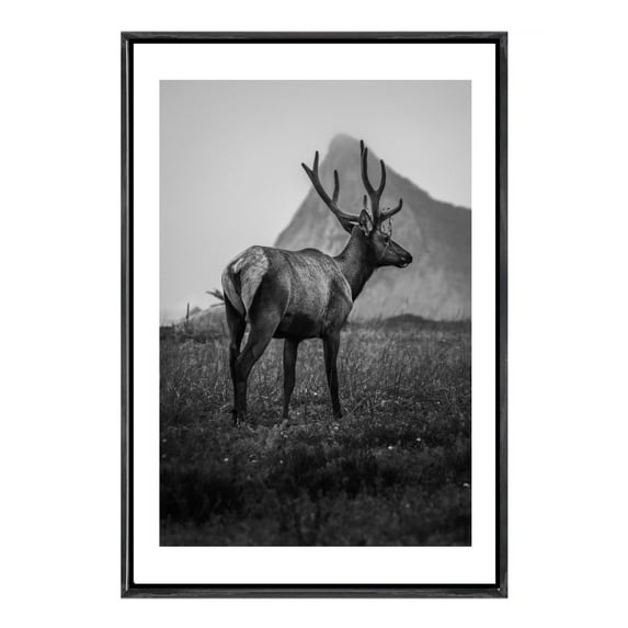 Deer Double Canvas Framed Wall Art Rustic Woodland Animal Print Nordic ...