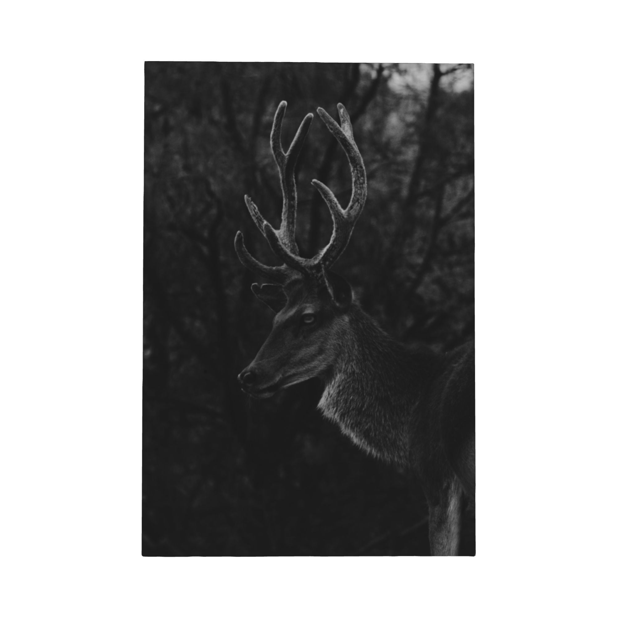 Deer Canvas Framed Wall Art Rustic Woodland Animal Print Nordic Nature ...