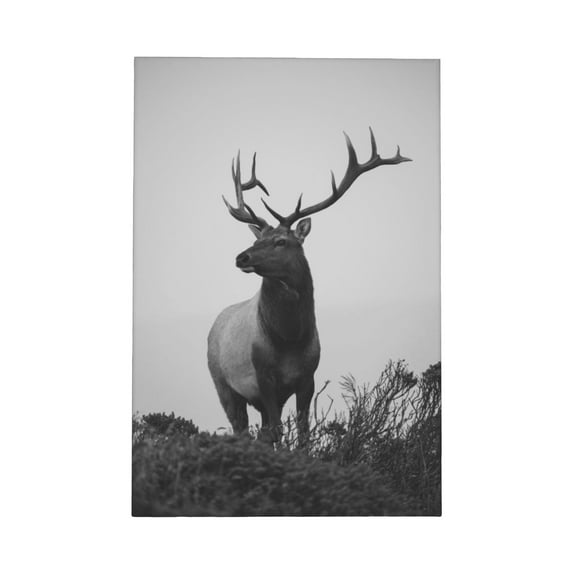 Deer Double Canvas Framed Wall Art Rustic Woodland Animal Print Nordic ...