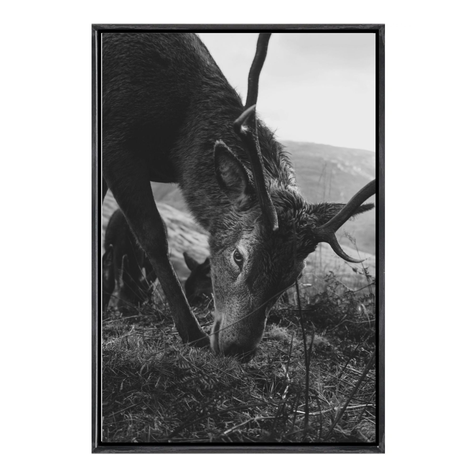 Deer Double Canvas Framed Wall Art Rustic Woodland Animal Print Nordic ...