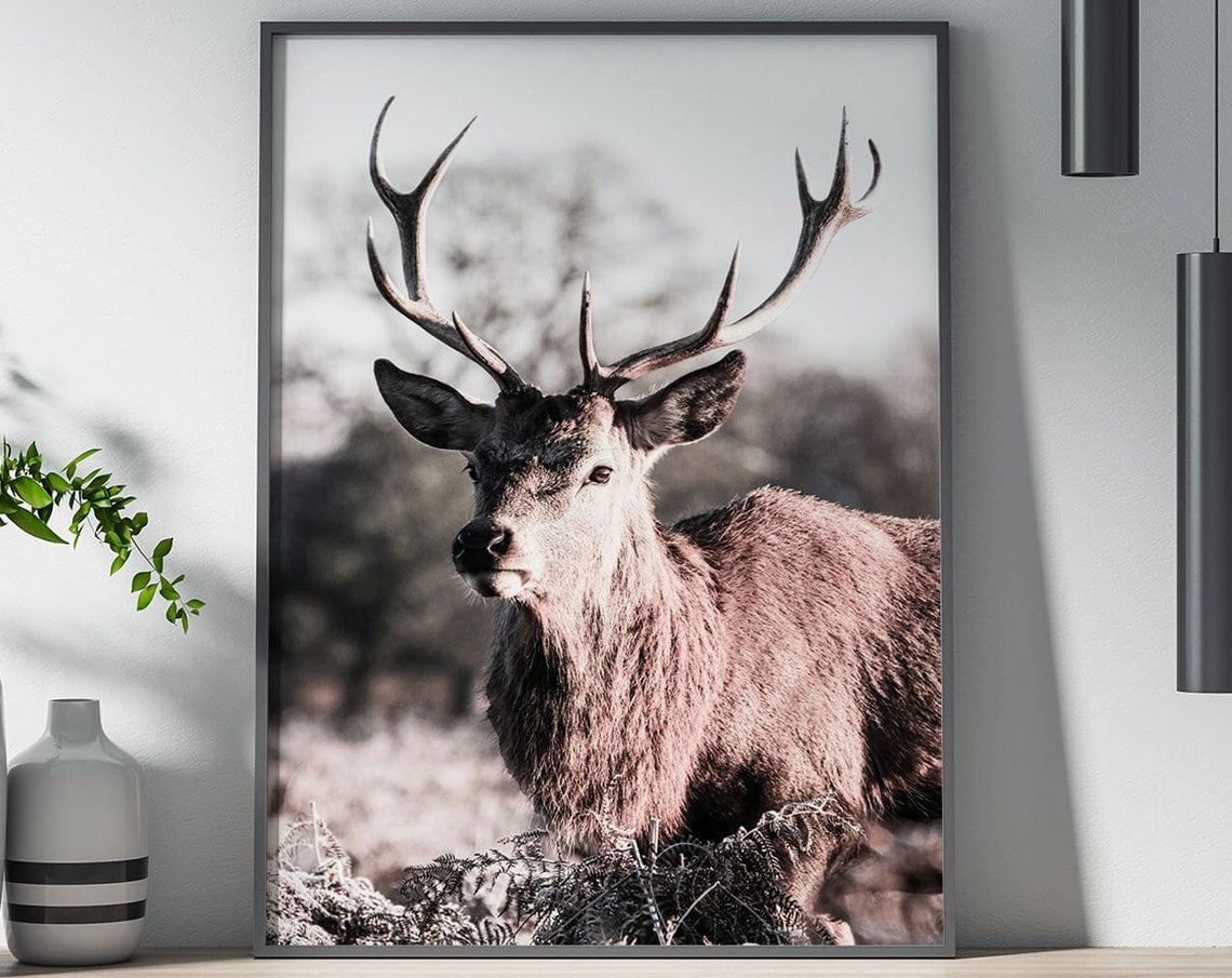 Deer Up Close Poster, Poster, Poster Print, Wall Decor, Deer, Animal ...