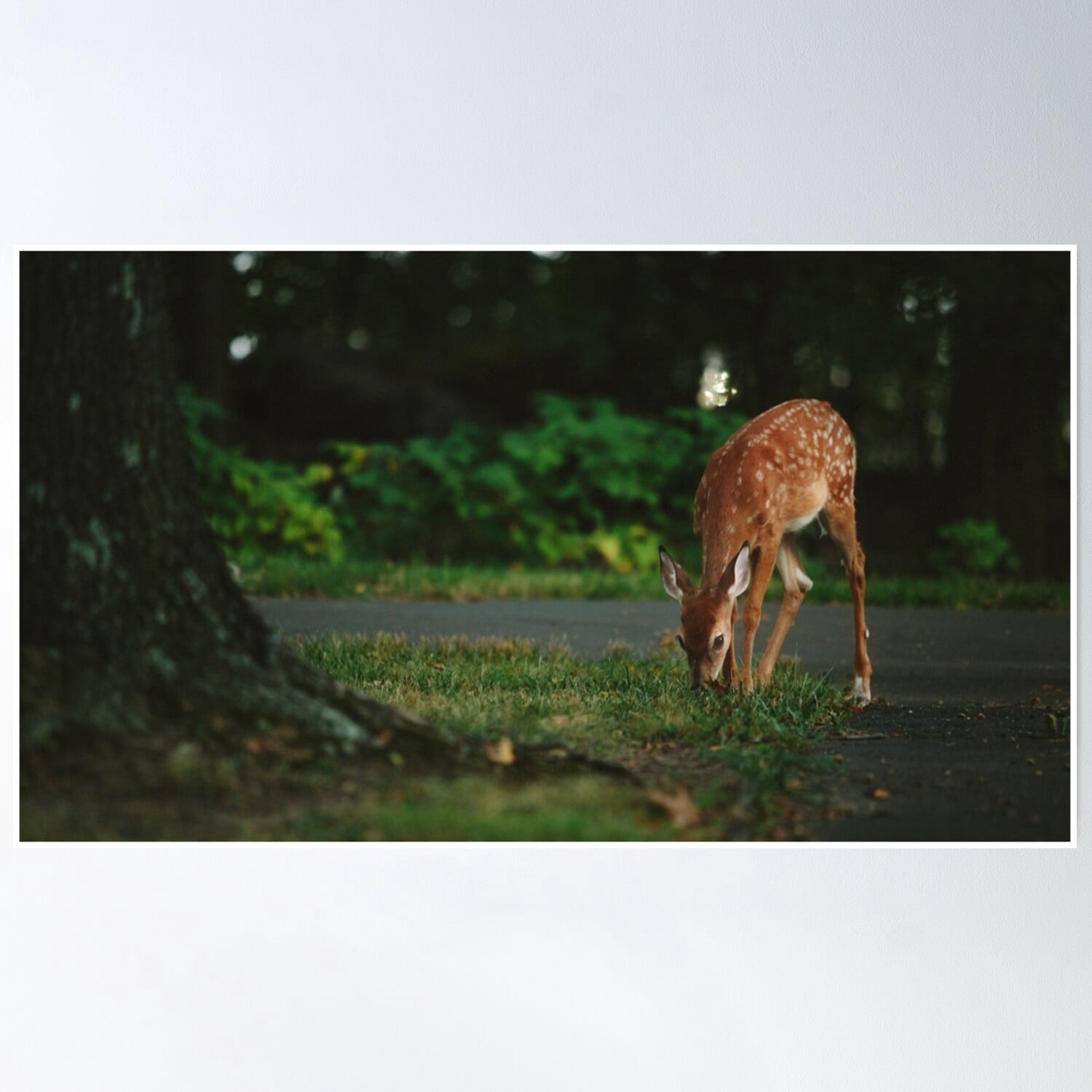 Deer Grazing At Dusk Poster Wall Art, Modern Wall Decor, 12x18 UNFRAMED ...