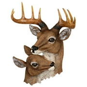 Taxidermy Deer Forms