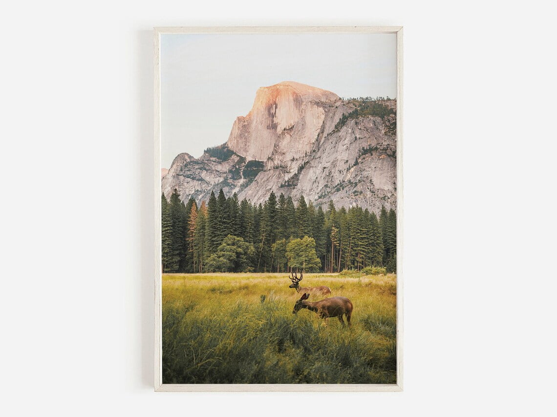 Deer In Meadow, Half Dome Print, Yosemite Wall Art, National Park Photo ...