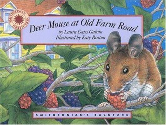 Mouse Road