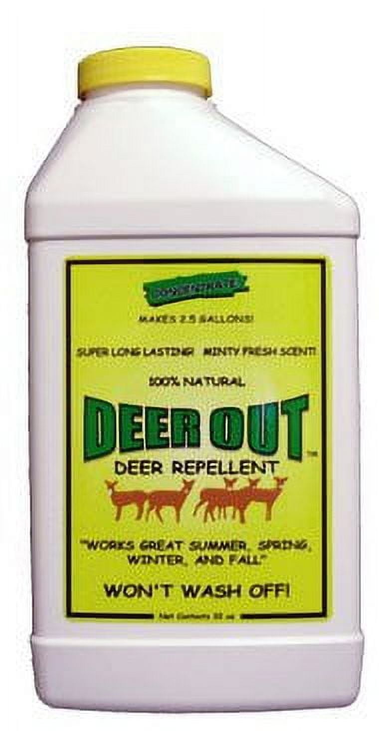 Deer Out Deer Repellent Spray, 32oz Concentrate, Peppermint Scent ...
