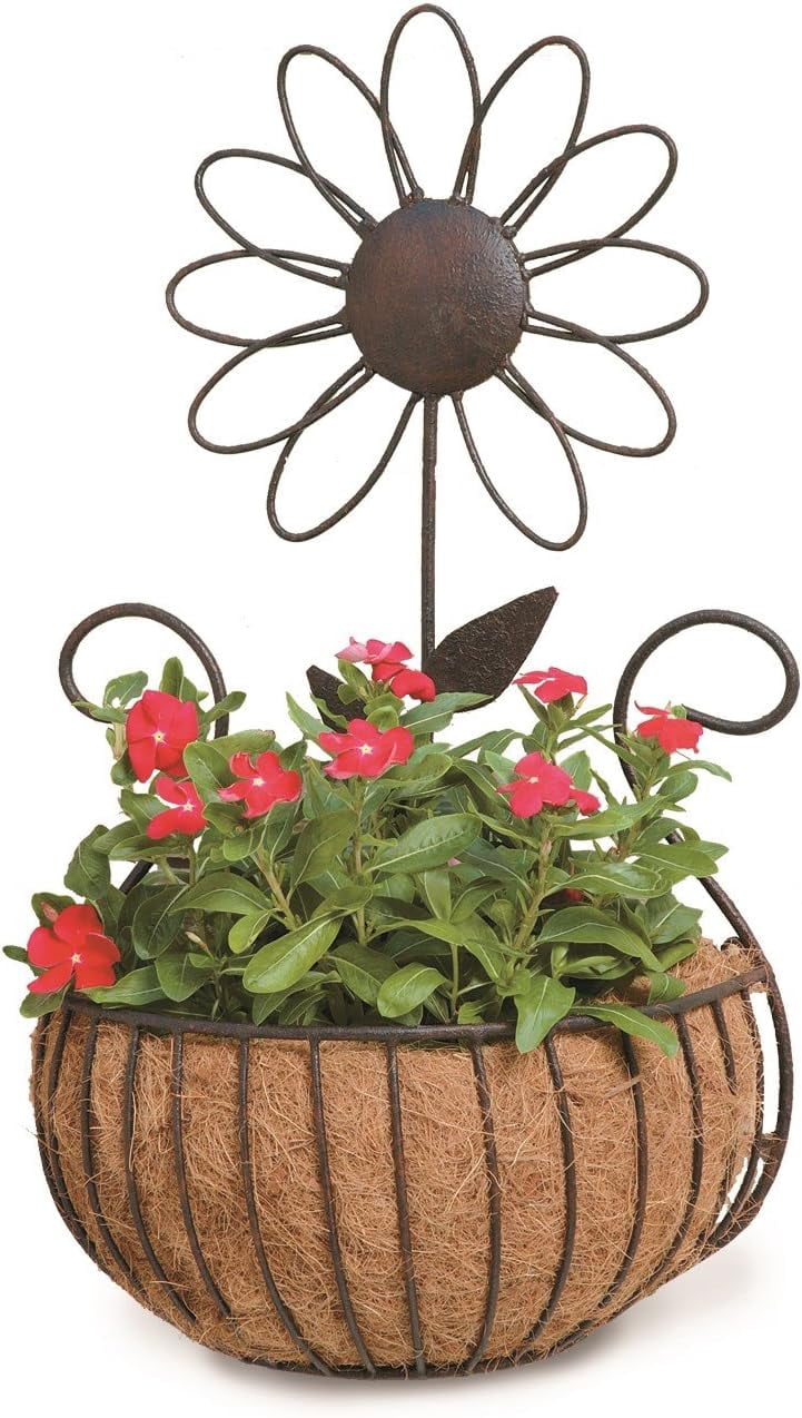 Deer Park WB135 Daisy Wall Basket with Cocoa Moss Liner - Walmart.com