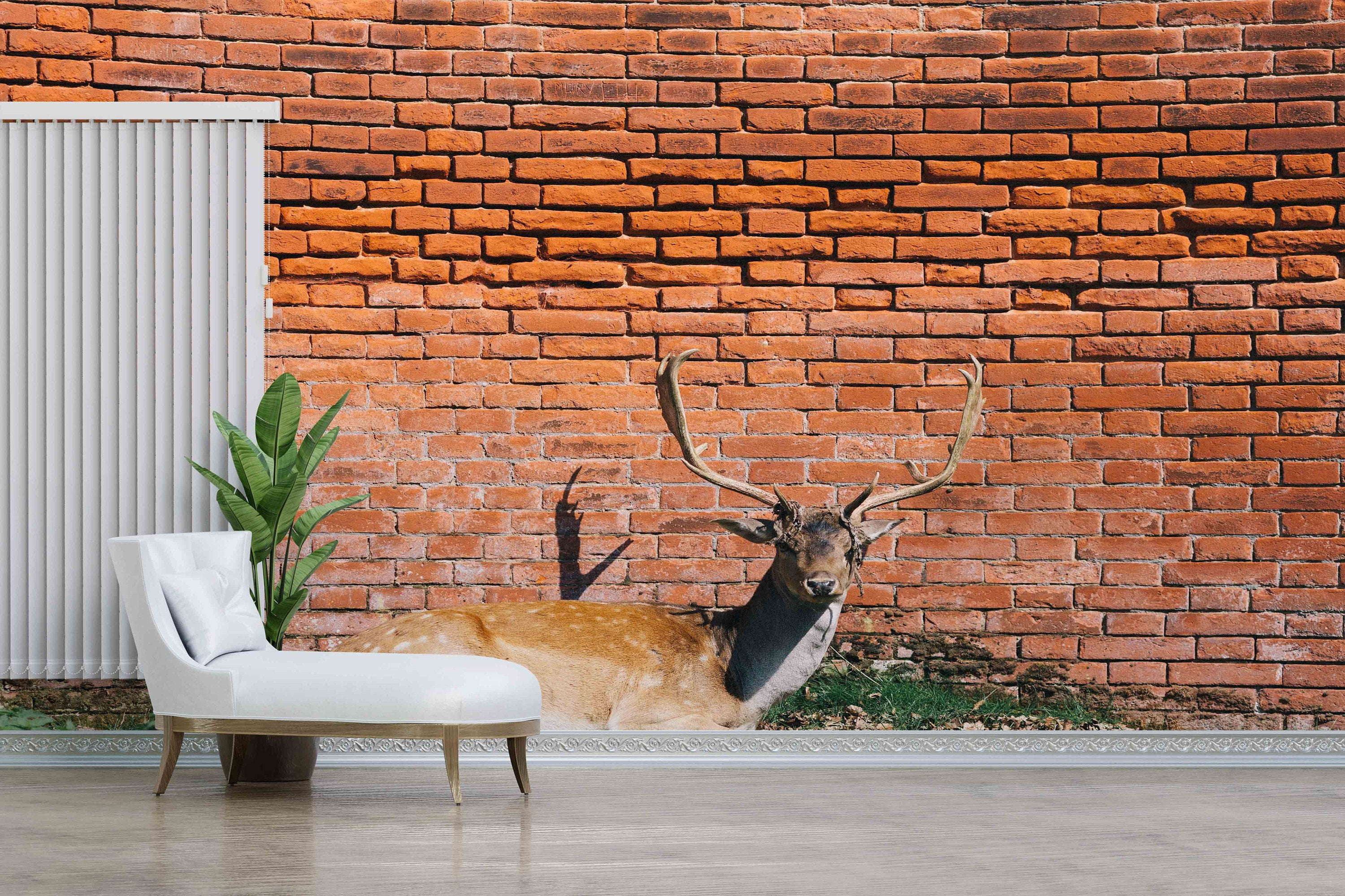 Deer Photo Wall Poster, 3d Wallpaper, Modern Wallpaper, Animal ...