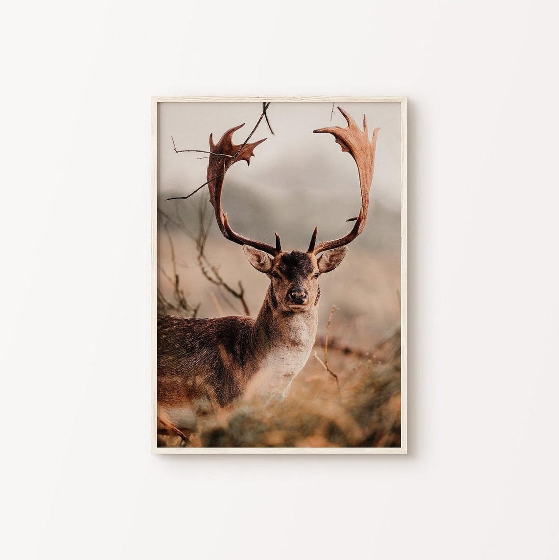 Deer Photography Reindeer Close Up Animal Forest Farmhouse Rustic Wall ...