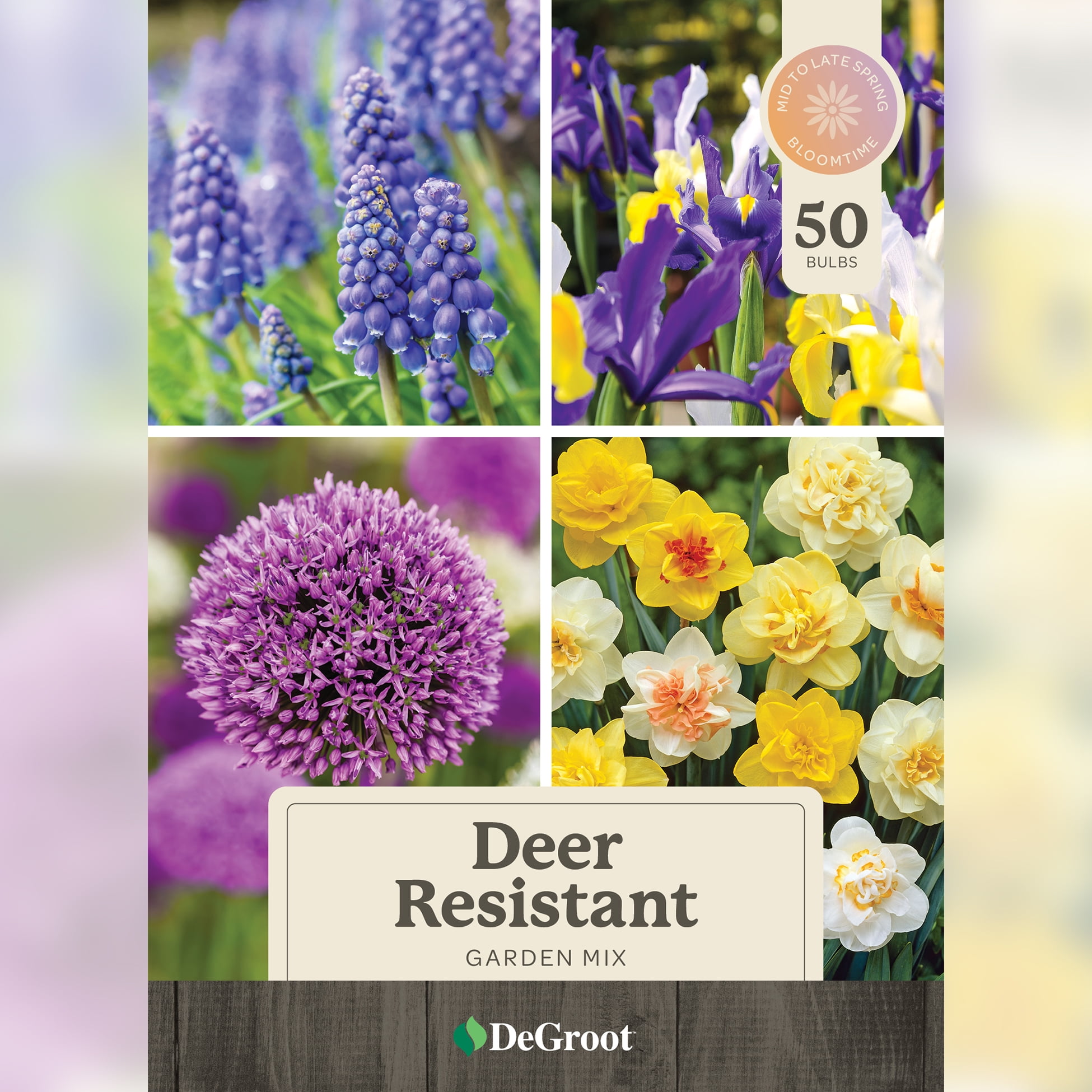 DeGroot Garden Bulb Mix, 50 Count, Spring Flower Blooms - Walmart.com