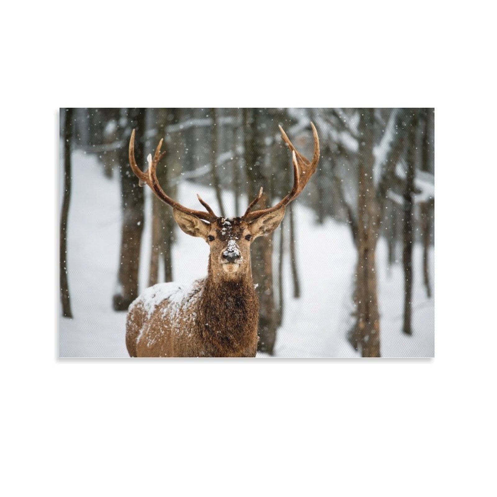 Deer Stand On Snowfield Trees Snow Wall Art Painting Poster Decorative ...