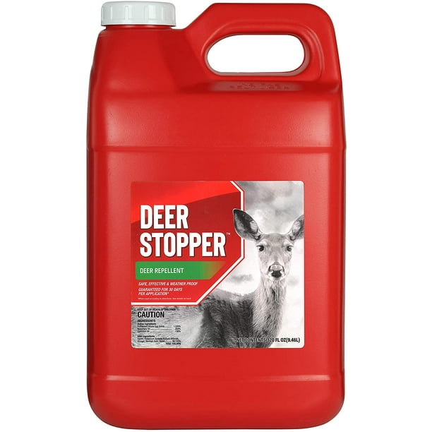 Deer Stopper Animal Repellent, 2.5 Gallon Ready-to-Use - Walmart.com