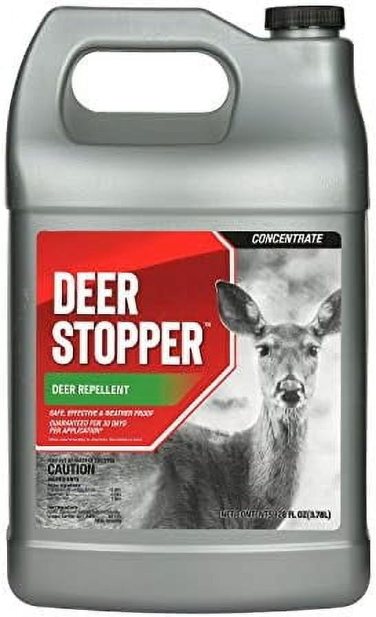 Deer Stopper, Liquid Animal Stopper Repellent, All Natural, Effective ...