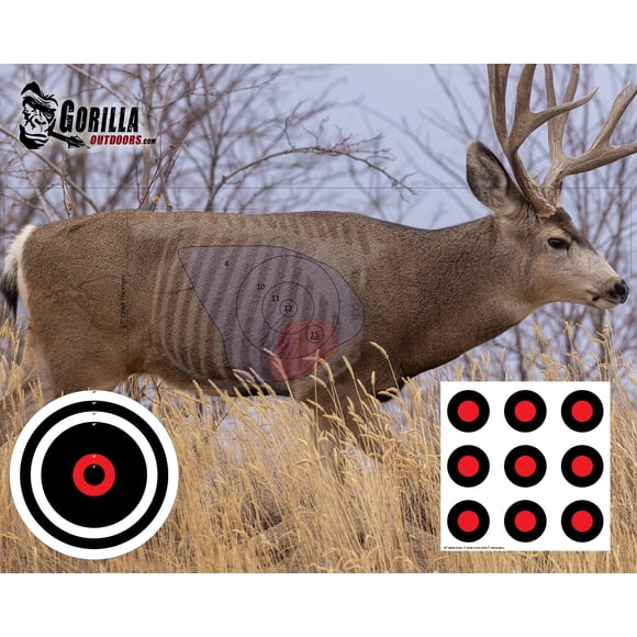 Deer 3D Targets