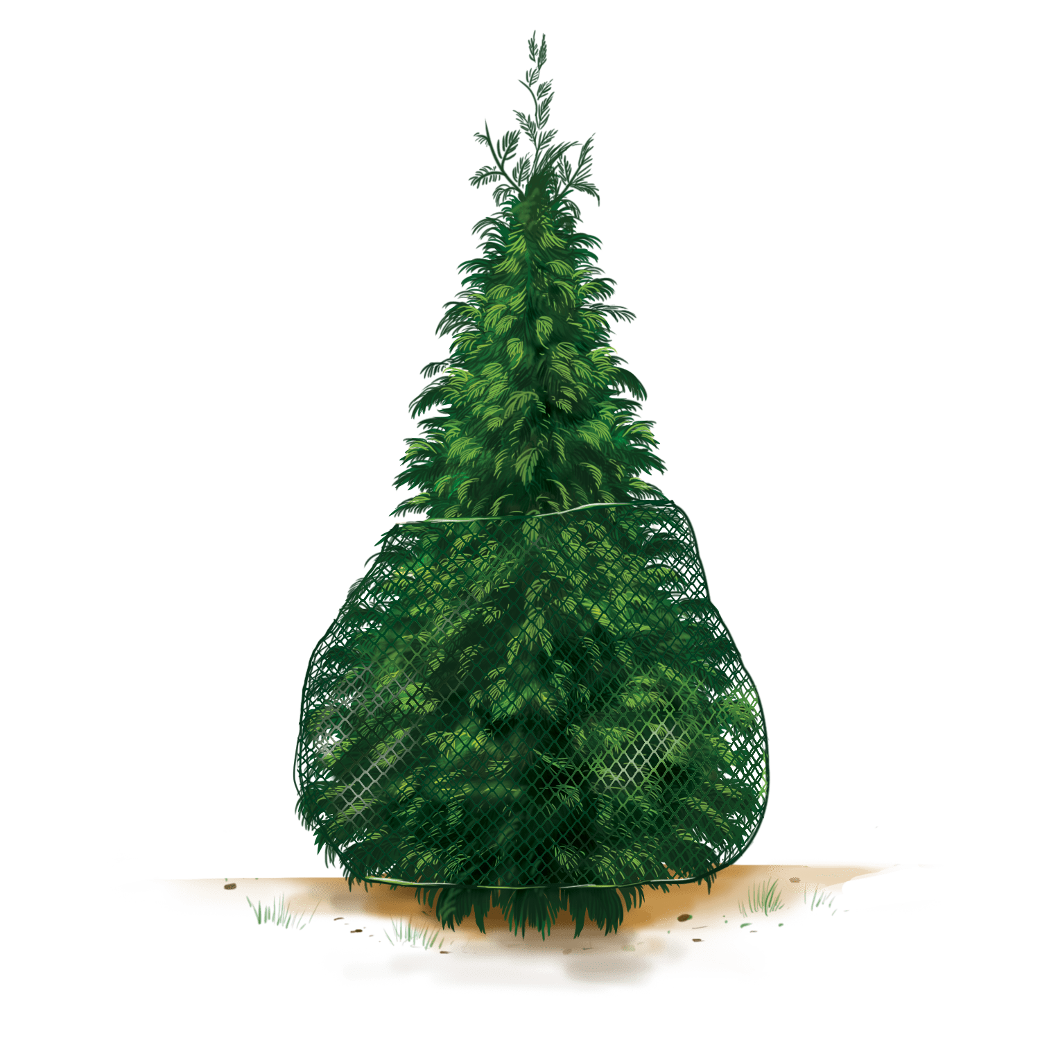 Deer Terrent Lightweight Plant Protection Netting, Arborvitae Deer/Bird ...