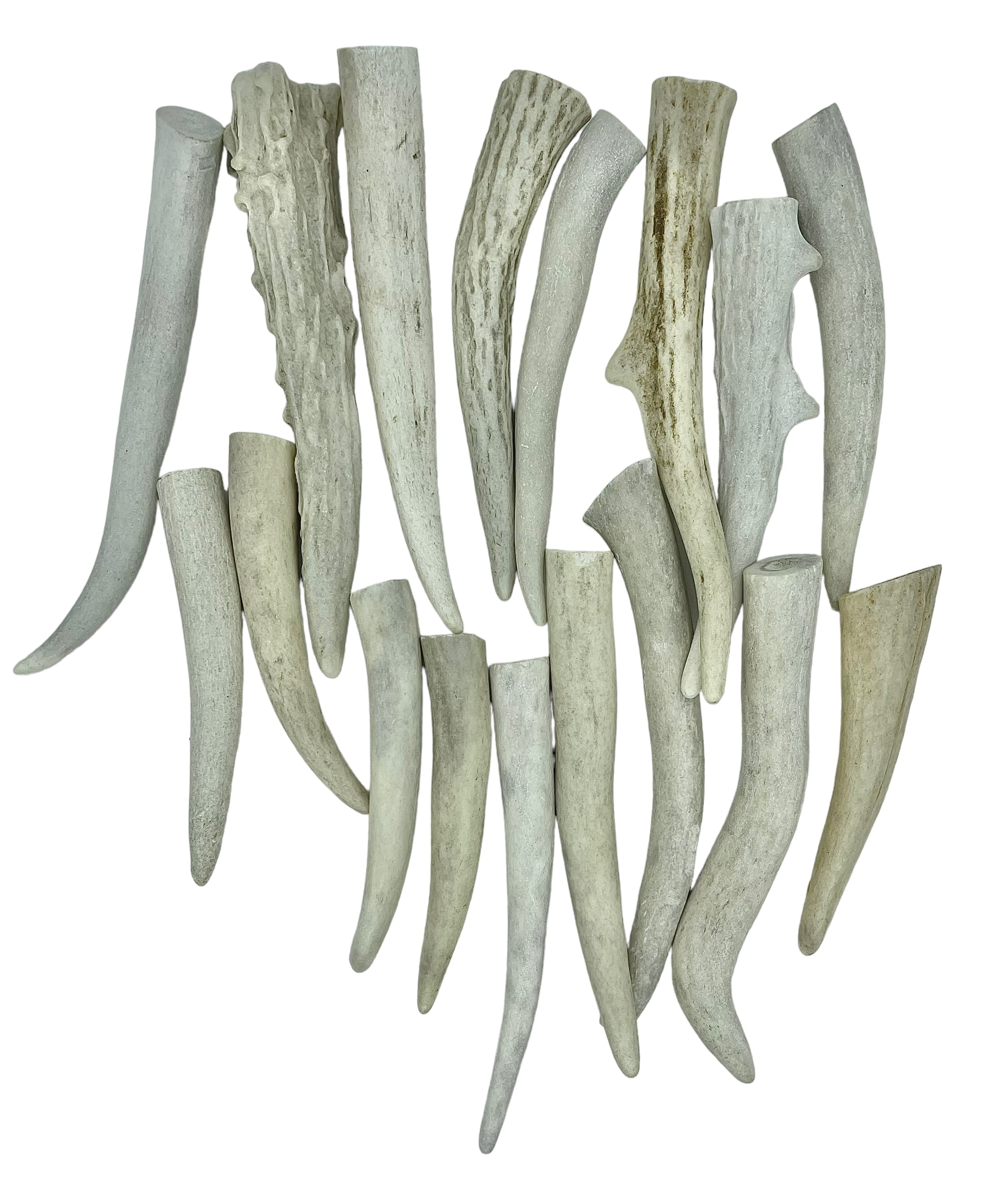 Deer Valley Antler Tip Kit (10 Pieces 3-5 inches Long) White Polished ...