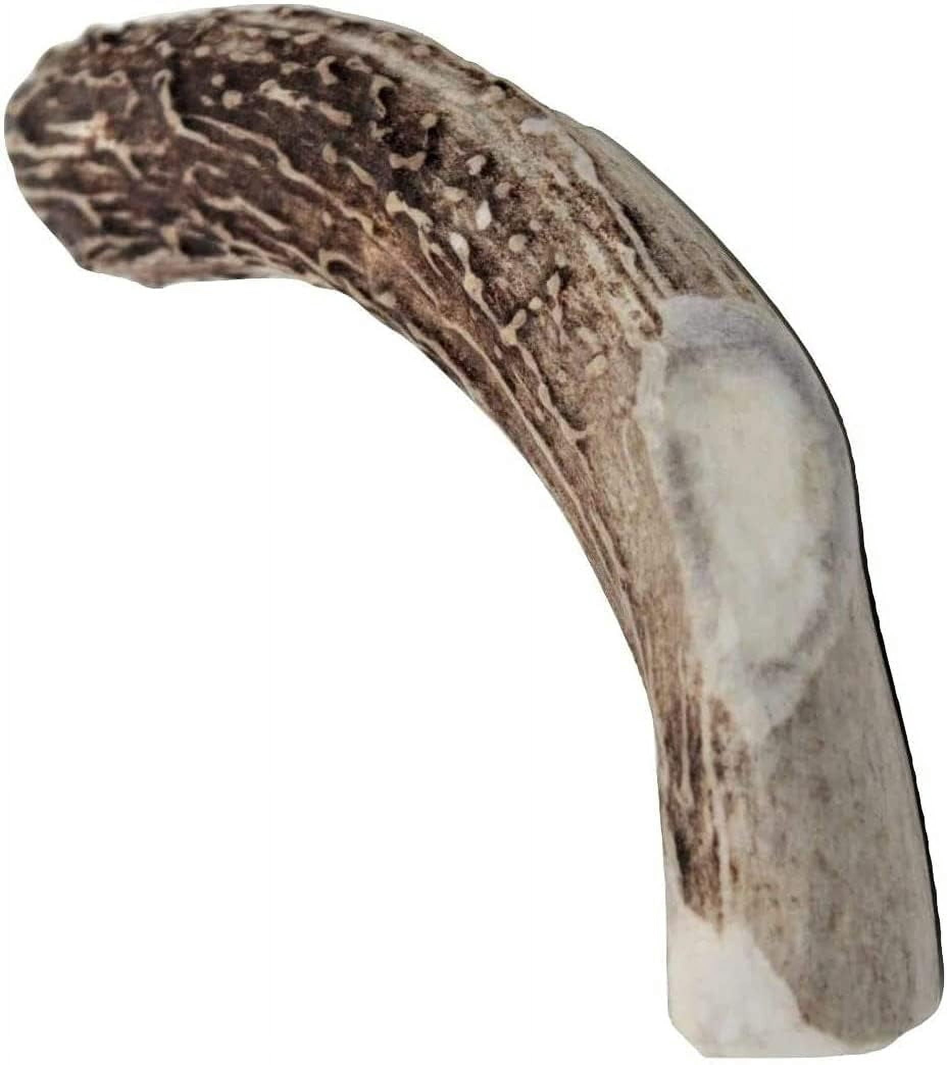 Deer Valley ChewsITSC Premium Deer Antler for Dogs - XL 6-8 Inches (The ...