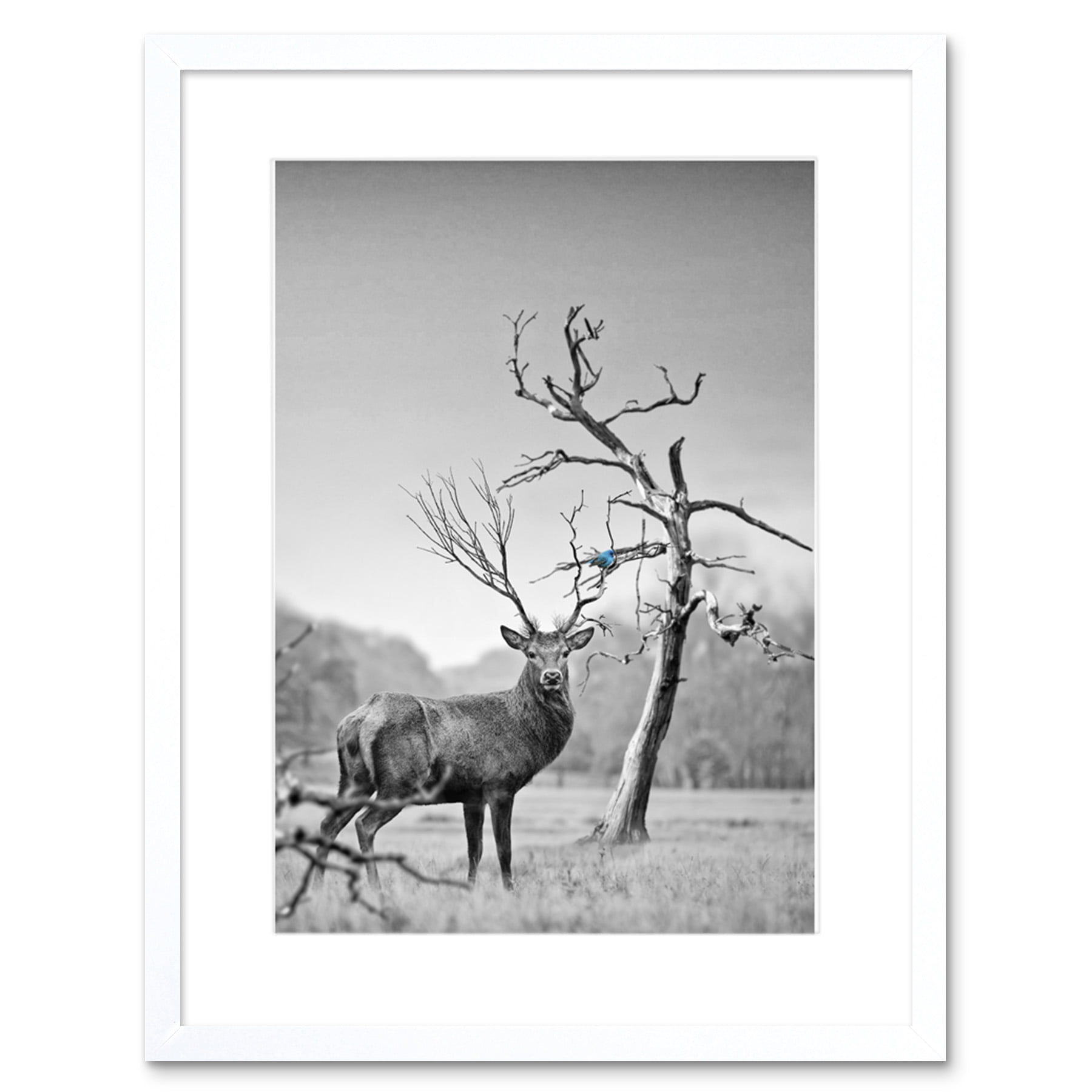 Deer with Blue Bird Framed Wall Art Print - Walmart.com