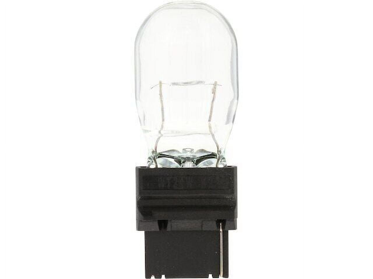 Deewin for 2023 Ford Maverick Rear Turn Signal Light Bulbs (10-Pack ...