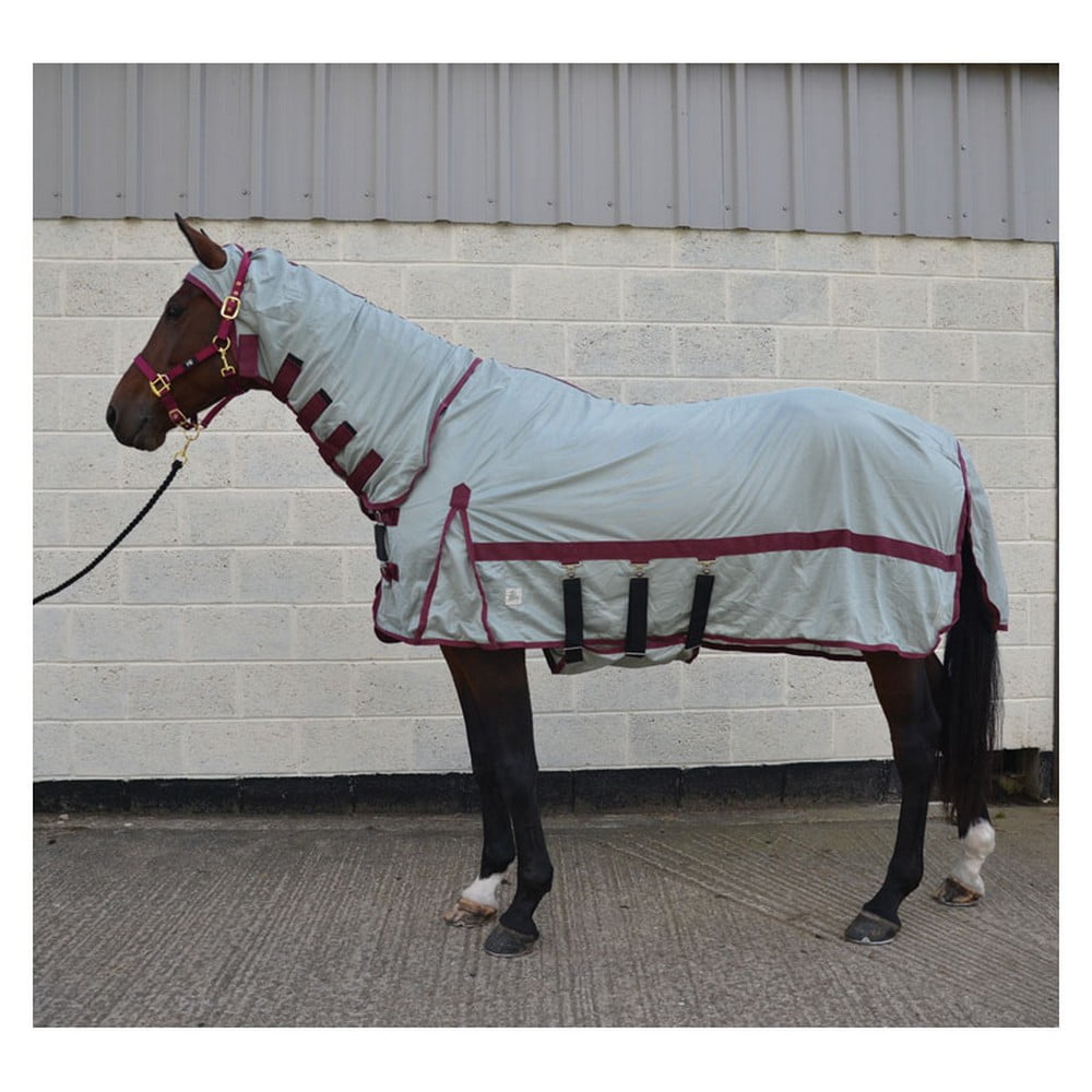 DefenceX System Guardian Horse Fly Rug & Mask - Walmart.com