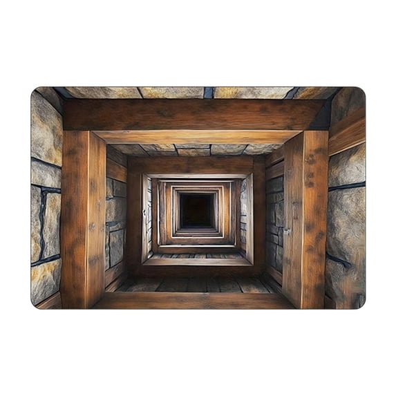 DefiDgd 24x16inche Retro 3D Visual Carpet,Entryway Door Mats Indoor Non ...