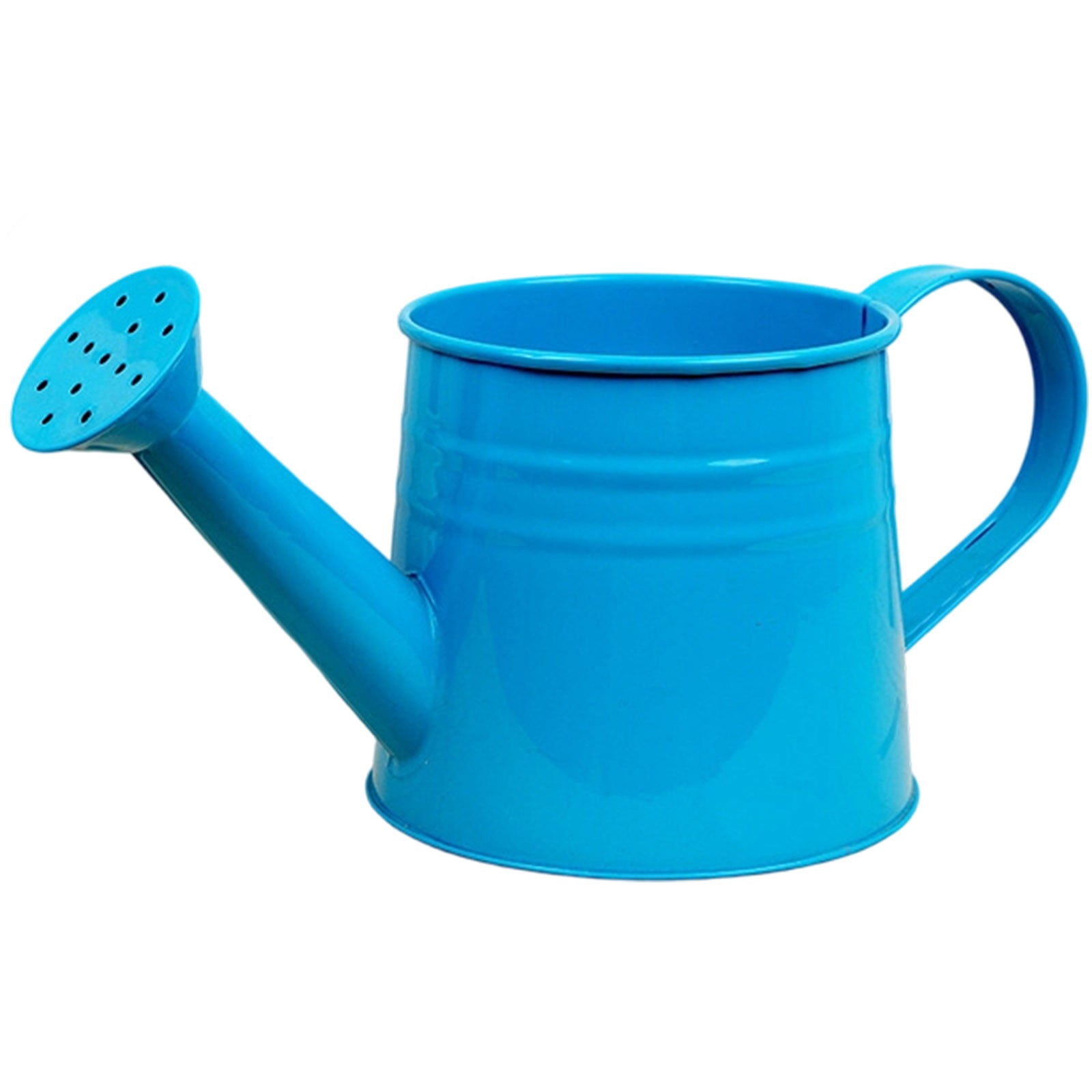 DefiDgd DefiDgd Small Watering Can,Mini Metal Watering Pot with Handle ...