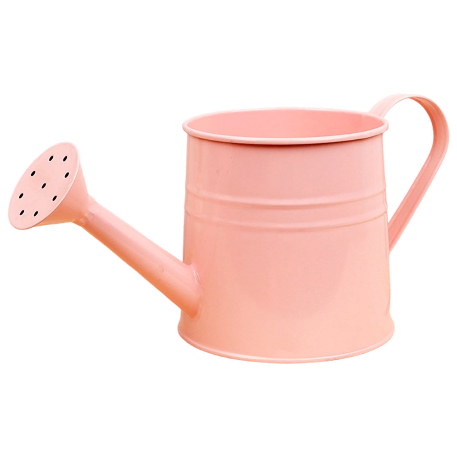 DefiDgd DefiDgd Small Watering Can,Mini Metal Watering Pot with Handle ...