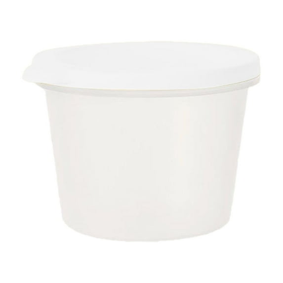 DefiDgd Reusable Plastic Portable Fruit Storage Containers,Takeout ...