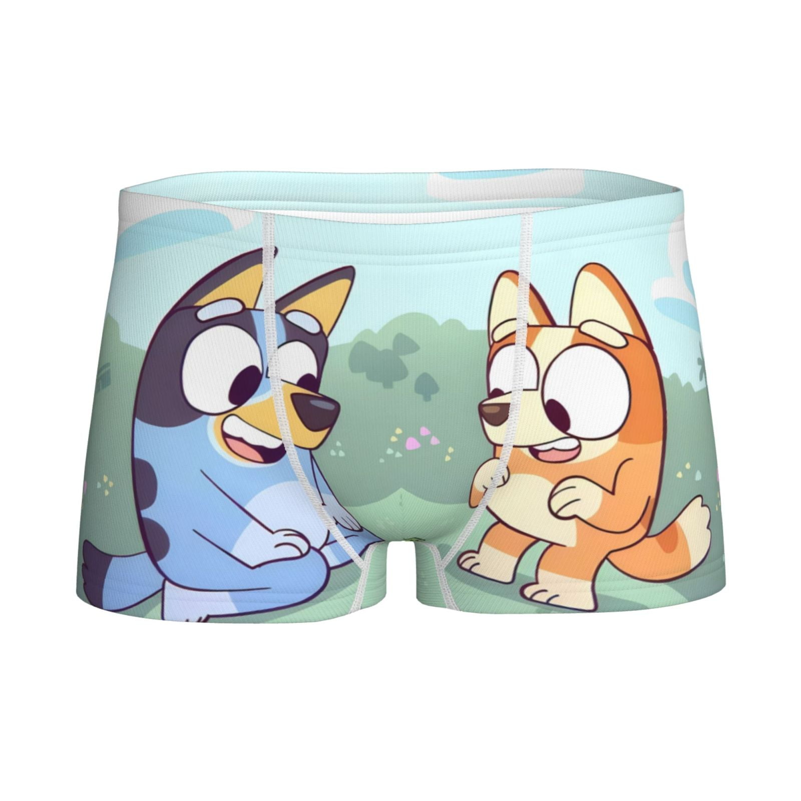 Defioc Bluey Pattern Boy’s Underwear,Boxer Briefs Shorts Toddler Kids ...