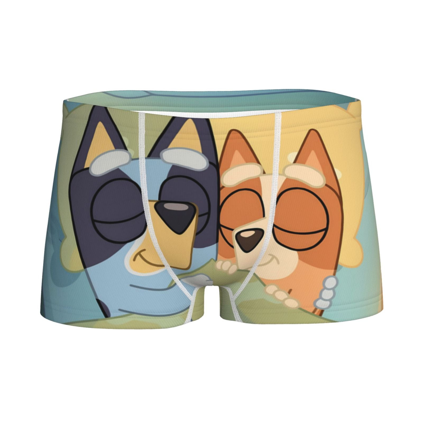 Defioc Bluey Pattern Boy’s Underwear,Boxer Briefs Shorts Toddler Kids ...