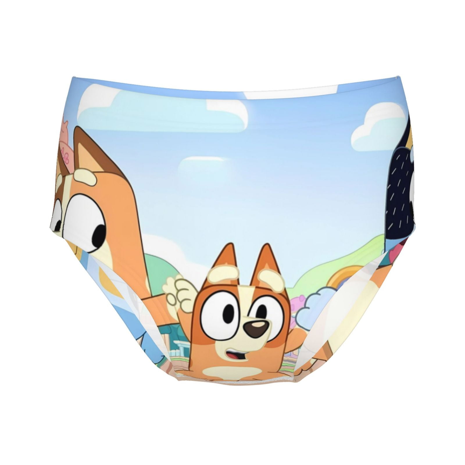 Defioc Bluey Pattern Girls Underwear,Stretch Cotton Panties for Girls ...