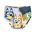 Defioc Bluey Pattern Girls Underwear,Stretch Cotton Panties for Girls ...