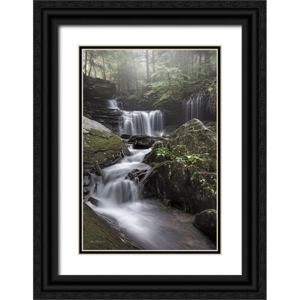 Deiter, Lori 11x14 Black Ornate Wood Framed with Double Matting Museum ...