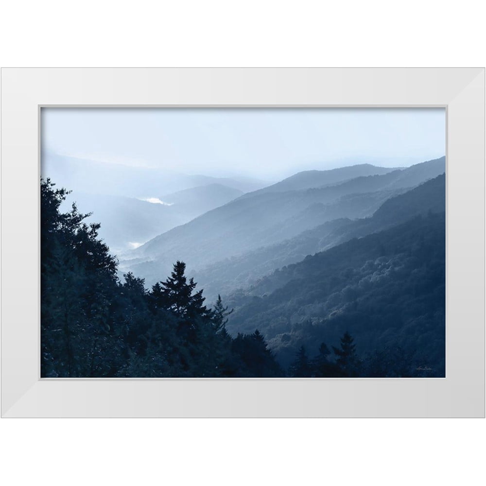 Deiter, Lori 14x11 White Modern Wood Framed Museum Art Print Titled ...