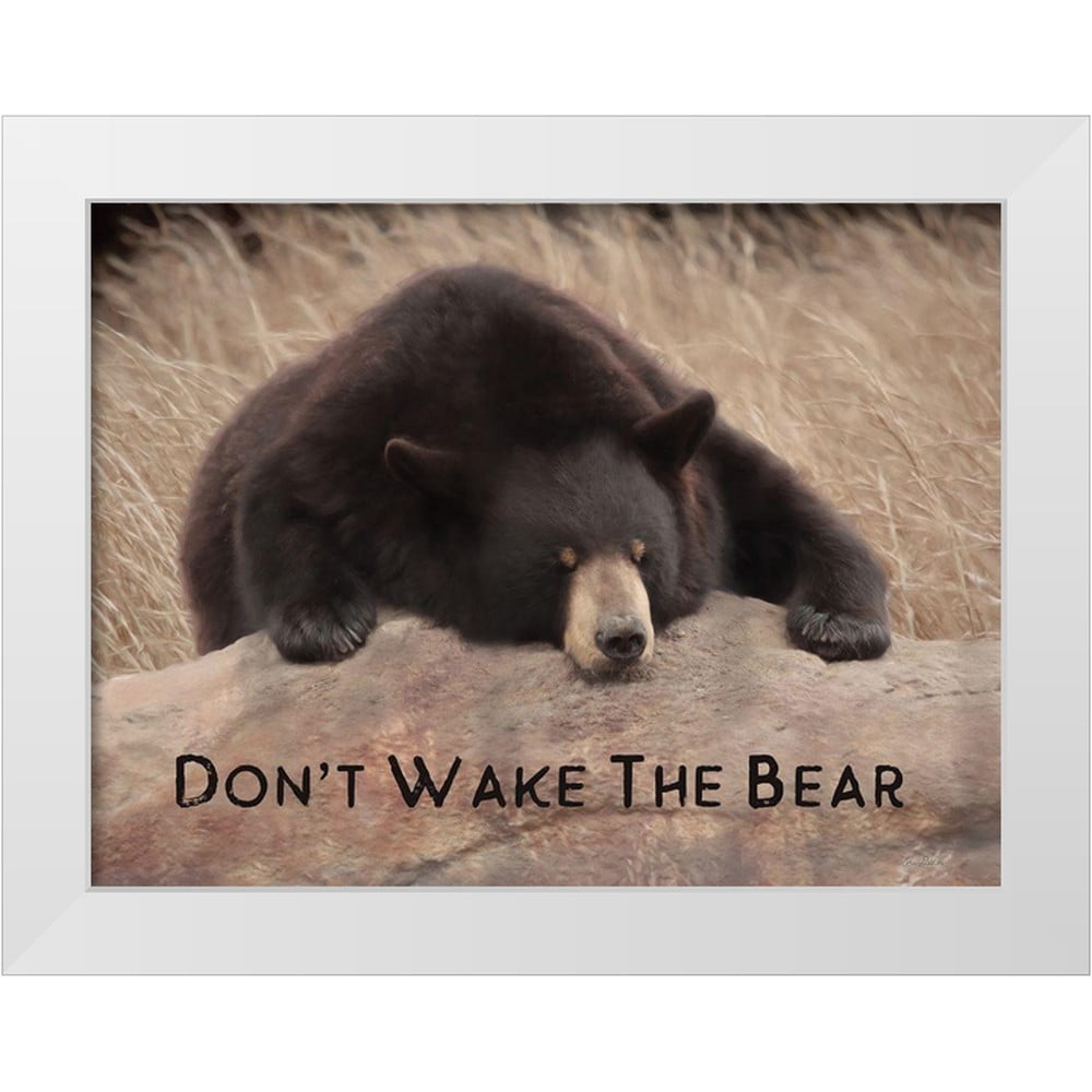 Deiter, Lori 18x15 White Modern Wood Framed Museum Art Print Titled ...