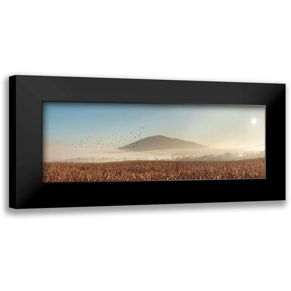 Deiter, Lori 24x11 Black Modern Framed Museum Art Print Titled - Rakers ...