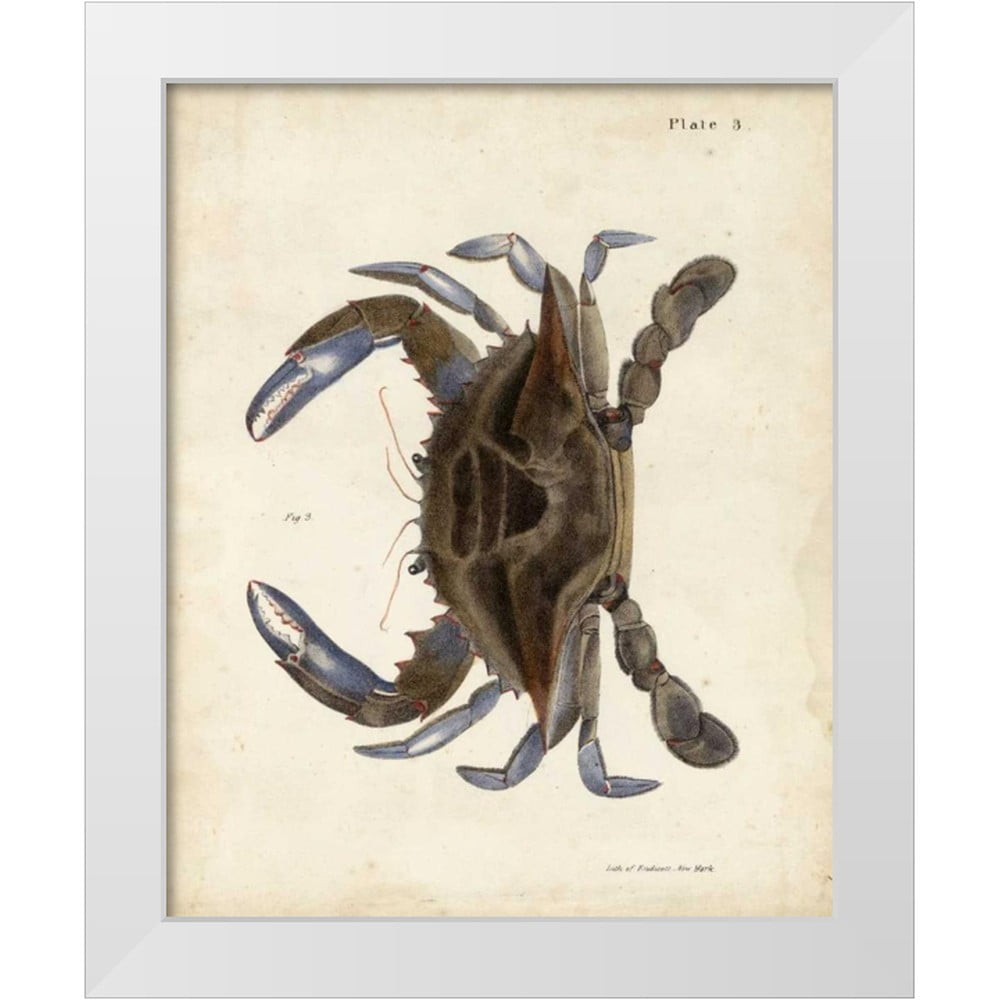 Dekay 15x18 White Modern Wood Framed Museum Art Print Titled - Vintage ...