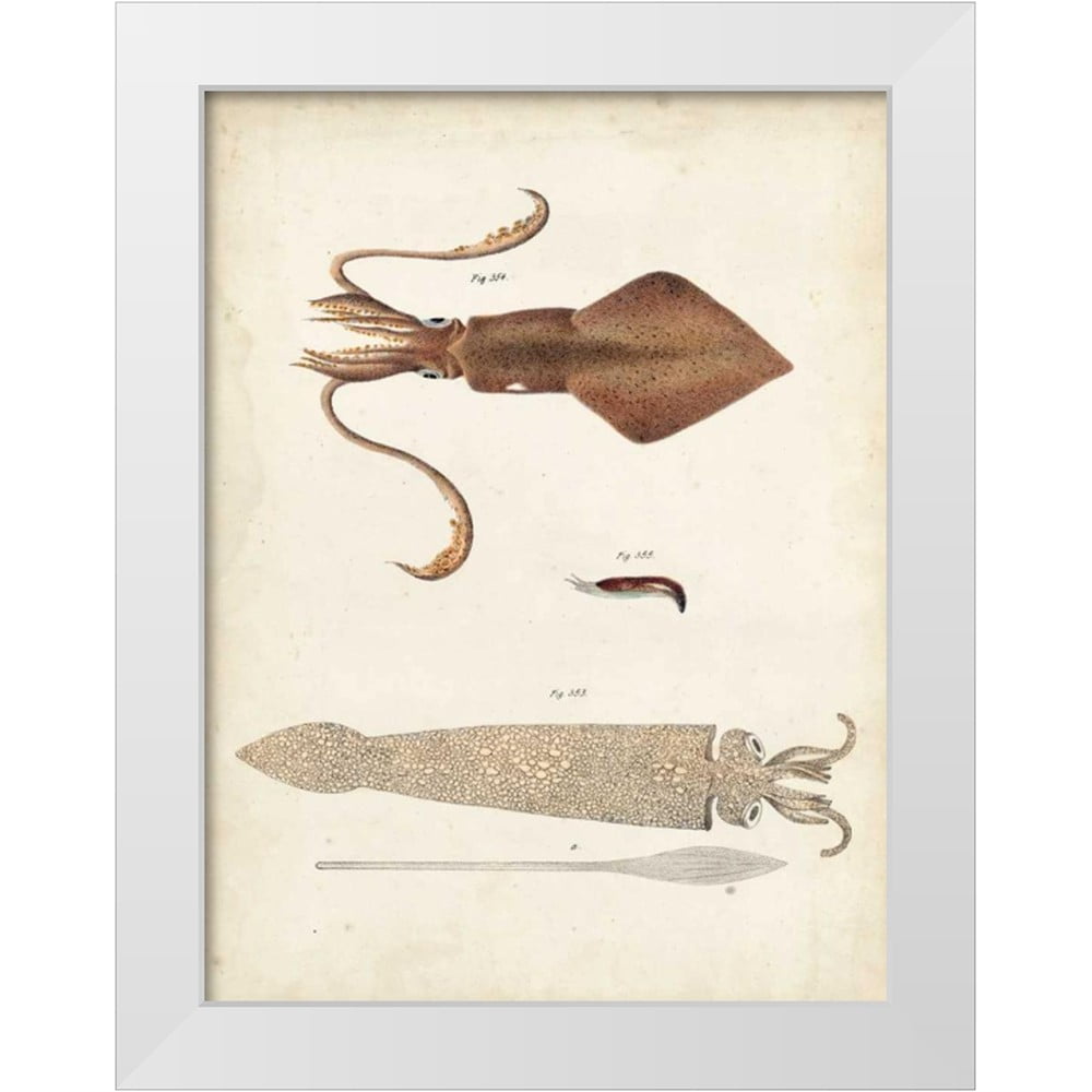 Dekay 25x32 White Modern Wood Framed Museum Art Print Titled - Ocean ...