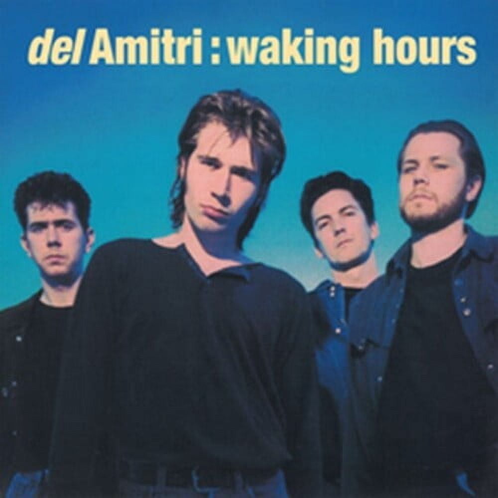 Del Amitri - Waking Hours - Blue Vinyl - Music & Performance - Walmart.com