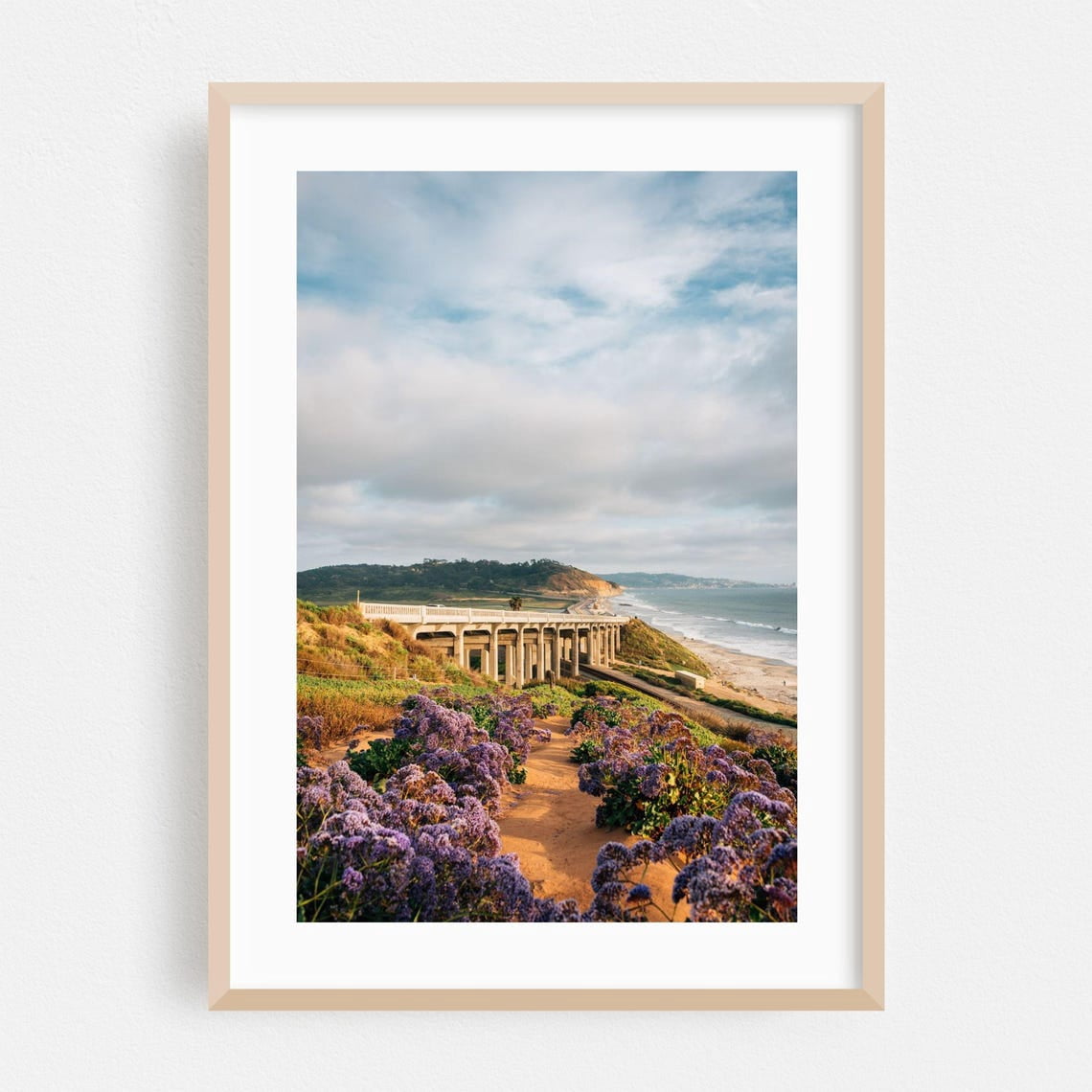 Del Mar California Coastal Bridge Flowers Landscape Fine Beach Scenic ...