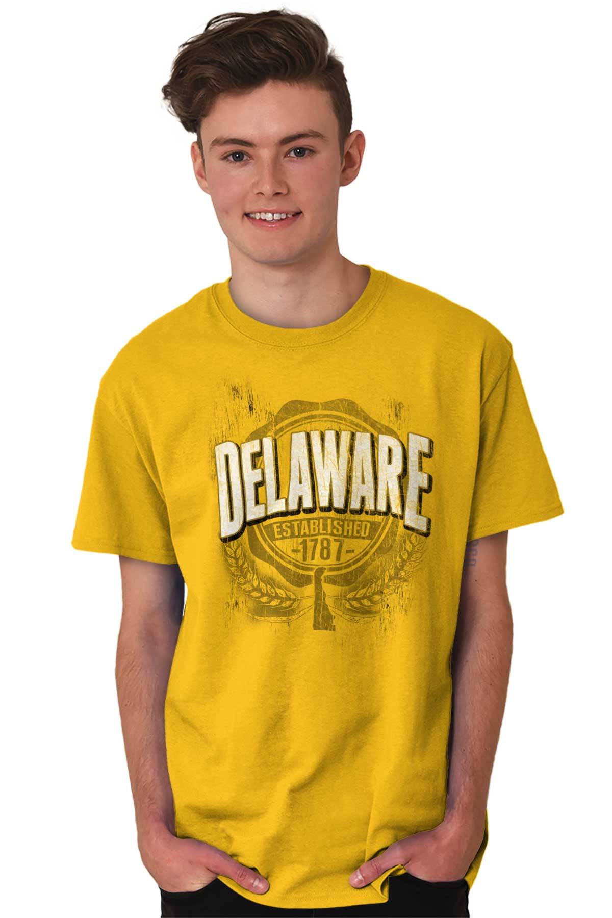 Delaware DE Student Campus Pride Plus Size Crewneck Graphic Tee Shirt ...