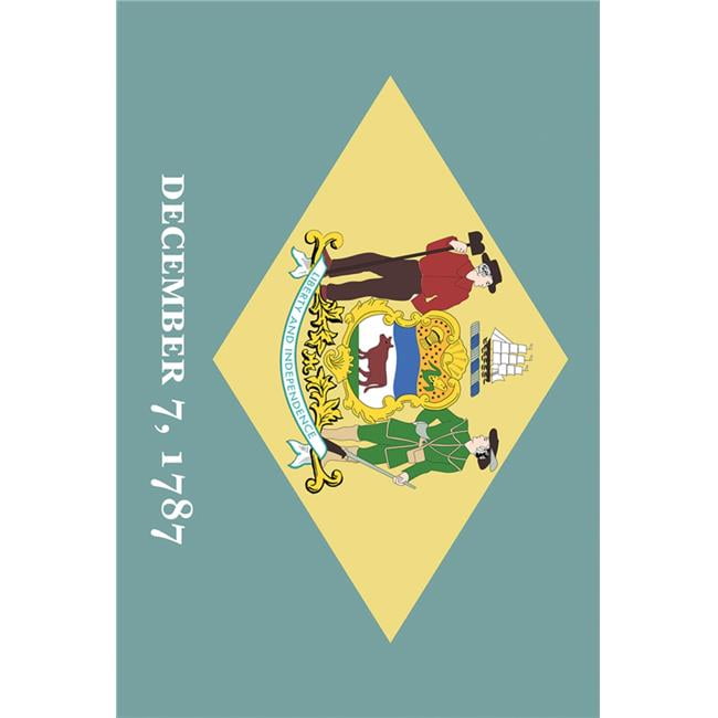 Delaware State Flag House Flag - Walmart.com