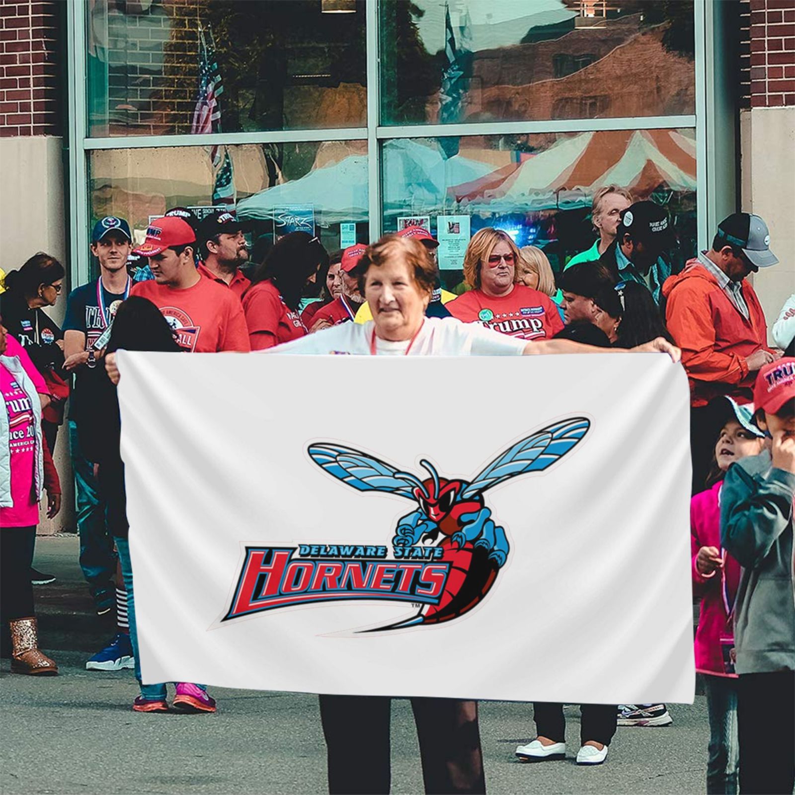 Delaware State University Flag 3x5 Outdoor ,Sewn Stripes, Stronger ...