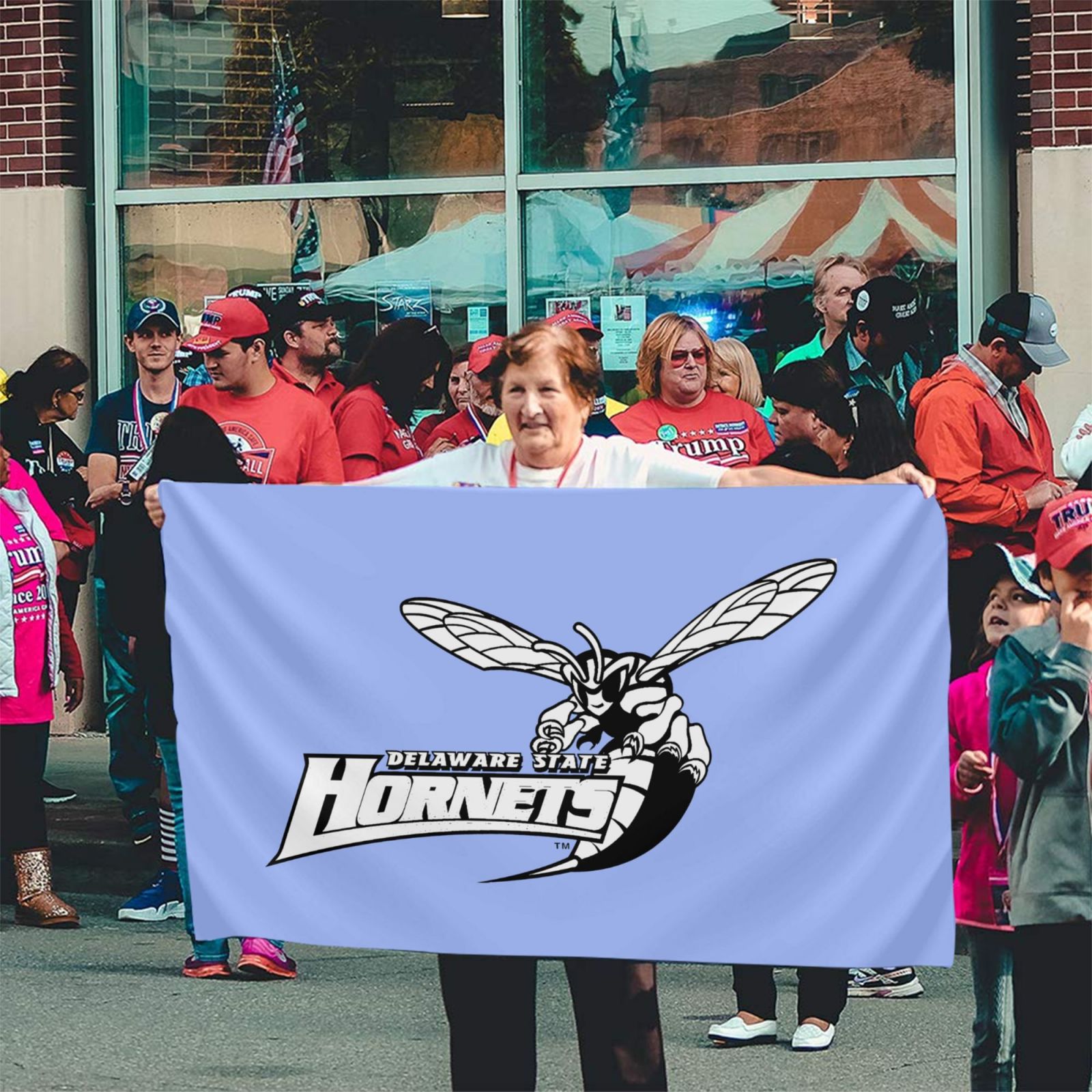 Delaware State University Flag 3x5 Outdoor ,Sewn Stripes, Stronger ...