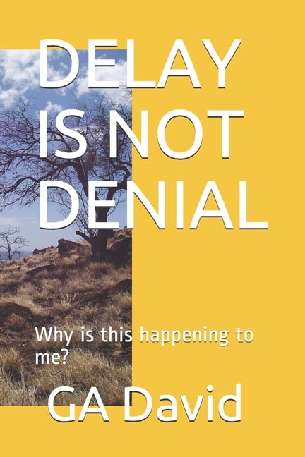 Delay Is Not Denial (Paperback) - Walmart.com